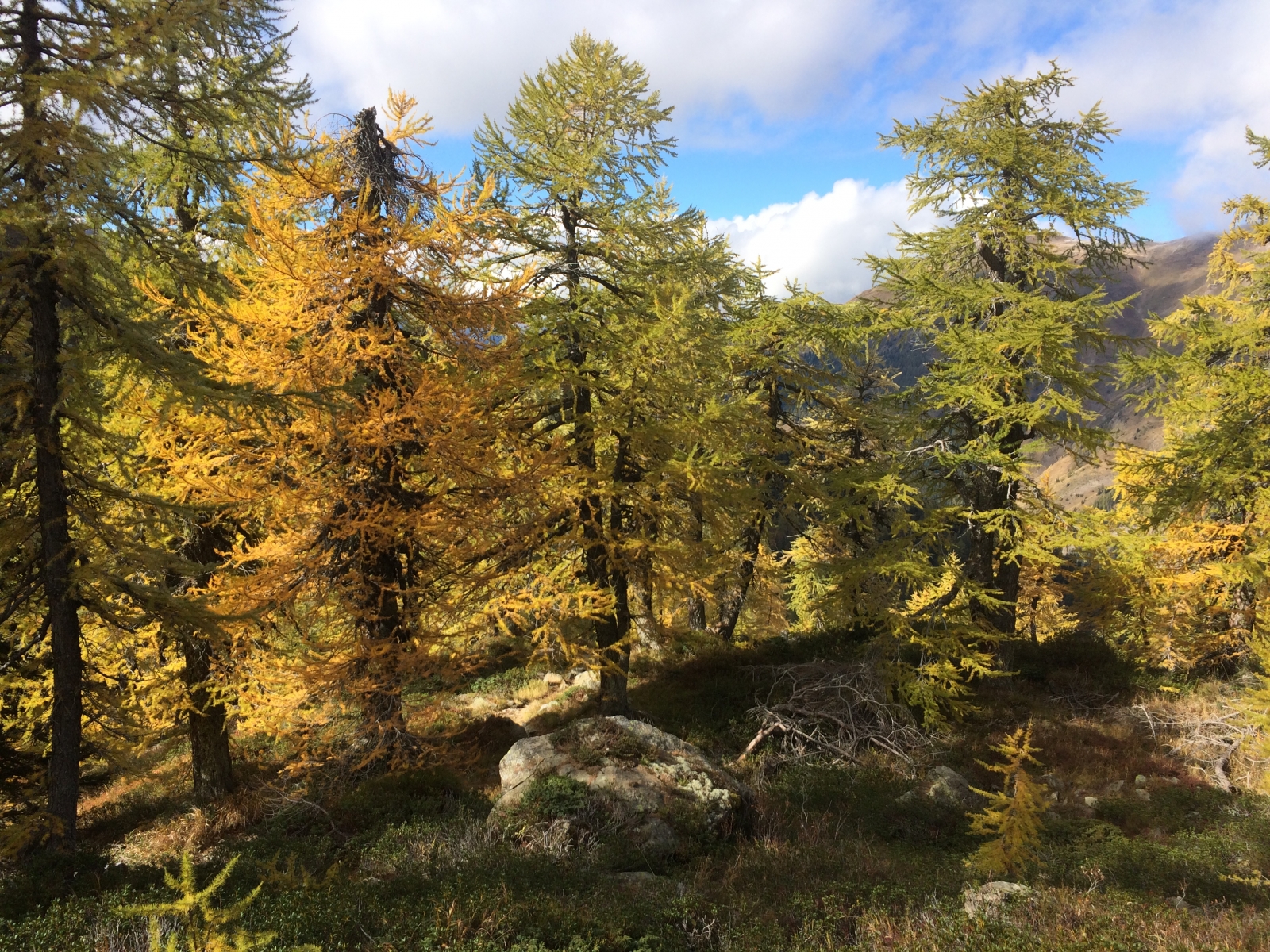 Aktuelles | Hotel Ofenhorn Binn